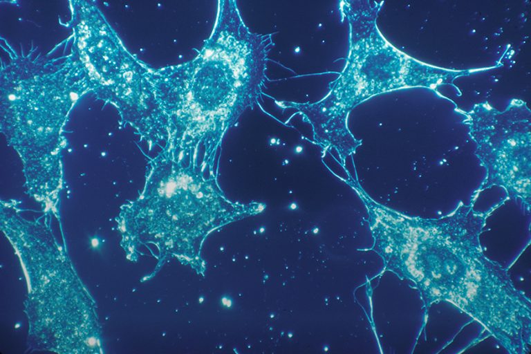 Scientific Photography: Intricate World of Research & Discovery